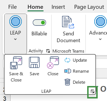 LEAP Options in Word Explained | LEAP Community